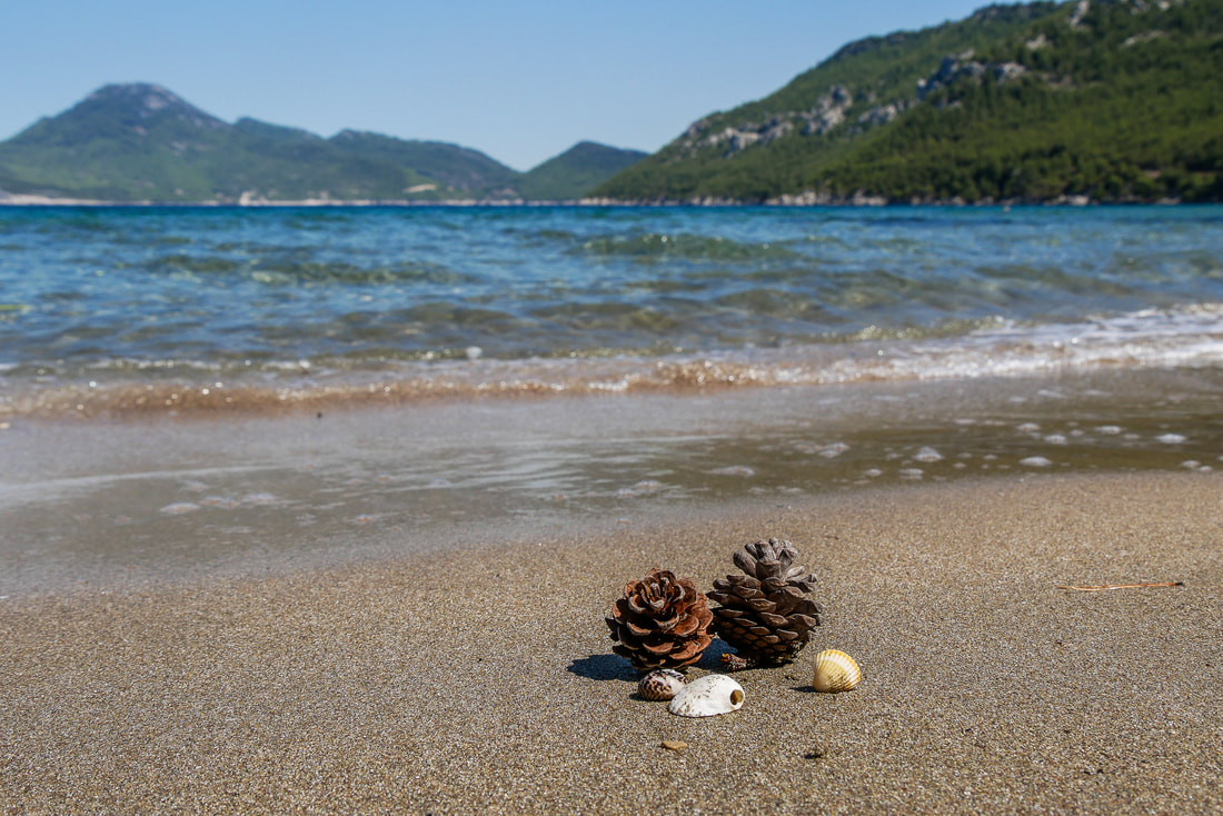 AROUND US - OYSTER PARADISE PELJEŠAC